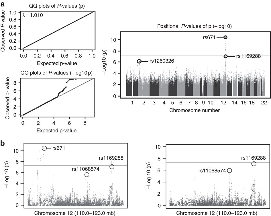 Basic GWAS - Statistical Genetics, Kyoto University